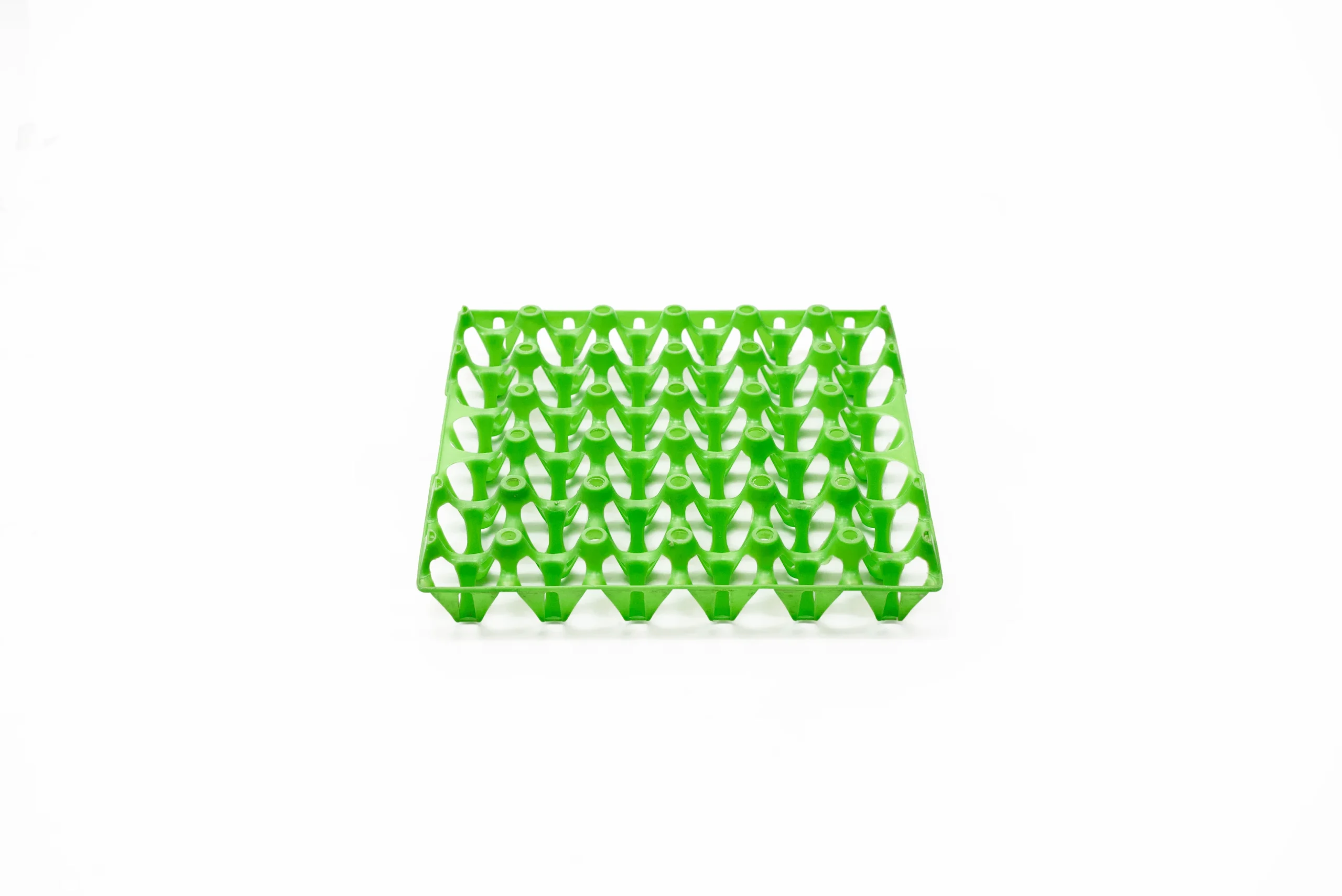 Plastic Egg Tray Basics Plastic Egg Tray Basics